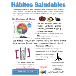 Healthy Habits Handout Spanish